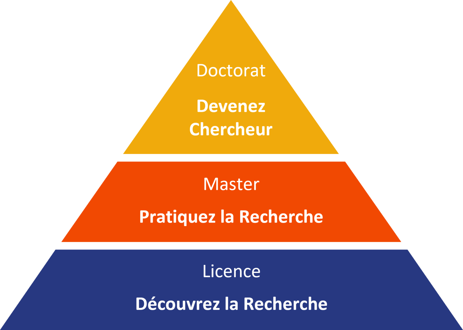 Graduate Plus